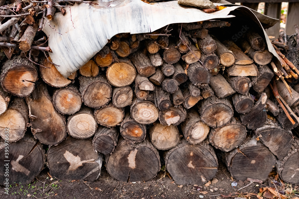 Prepared firewood for the grill and stove. Sawn down thick and thin ...