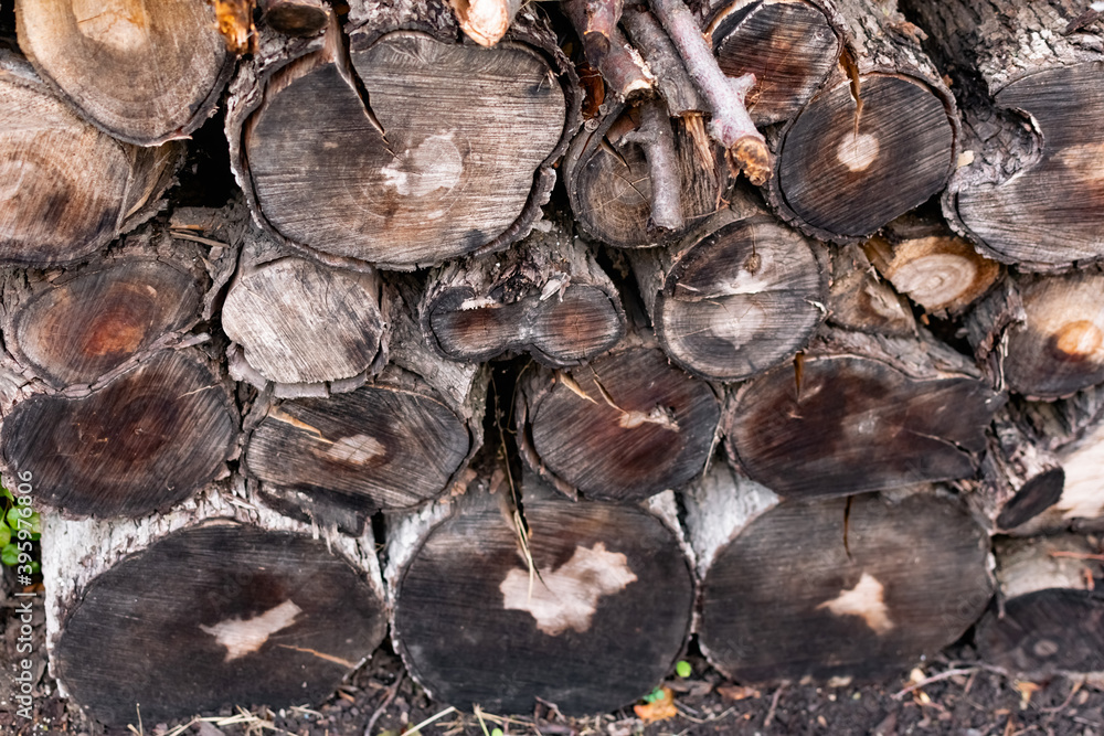 Prepared firewood for the grill and stove. Sawn down thick and thin ...