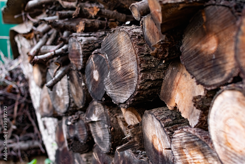 Prepared firewood for the grill and stove. Sawn down thick and thin ...