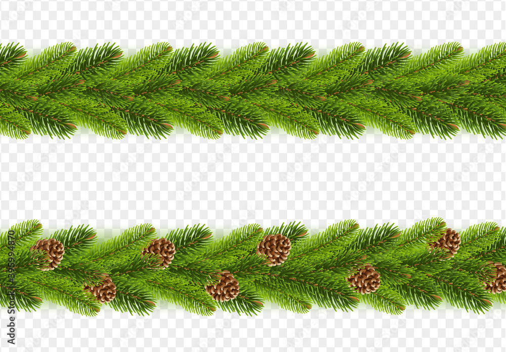 Spruce Branches With Cones Borders Set Transparent Background With ...
