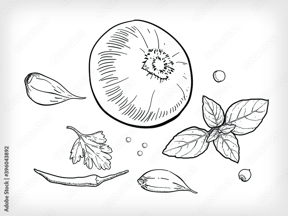 Line art illustration set of Asian cuisine spices in kind. Stock Vector ...