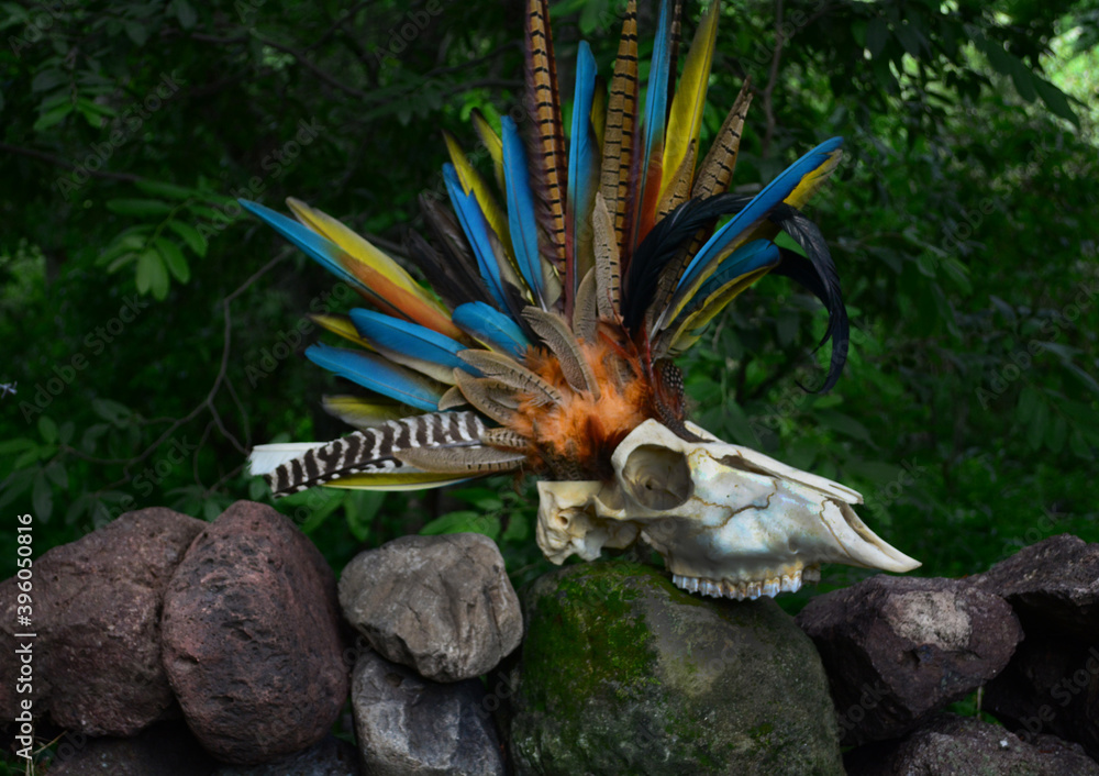 Penacho craneo Stock Photo | Adobe Stock