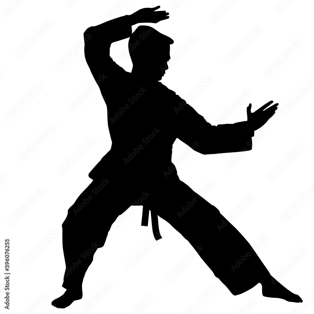 Silhouette of Silat Martial Arts Stock Vector | Adobe Stock