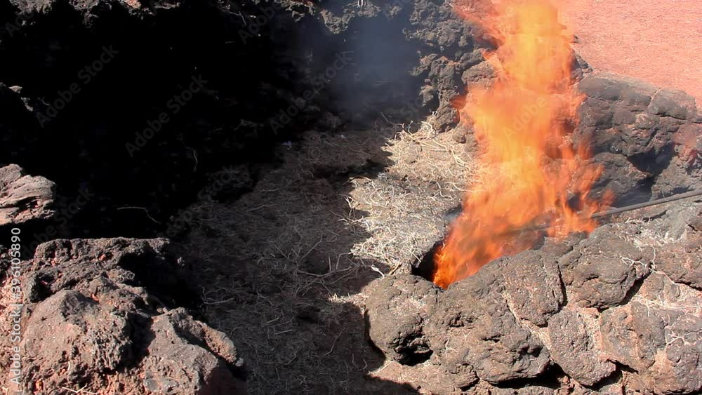Fire flames coming out of volcanic crater in Timanfaya National park ...