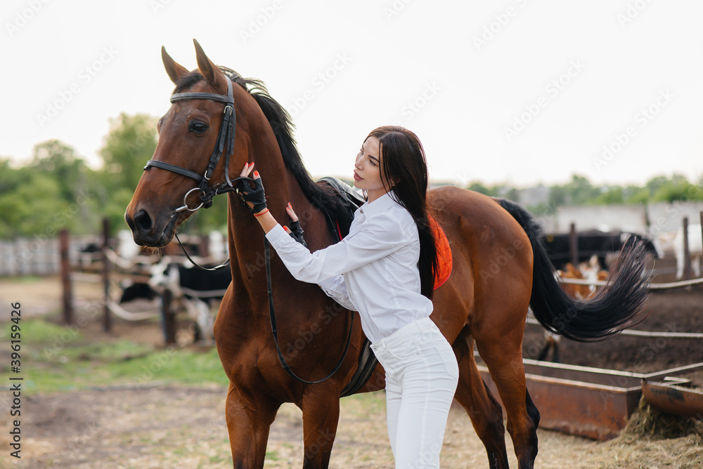 A young pretty girl rider poses near a thoroughbred stallion on a ranch ...