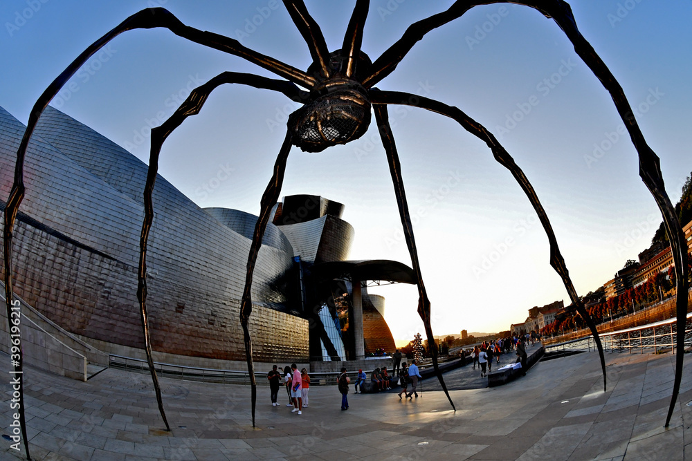 View of underside of Maman Spider illuminating Marble eggs in mother at ...
