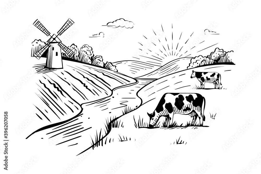 Rural landscape with windmill, cows, wheat fields and river on white ...