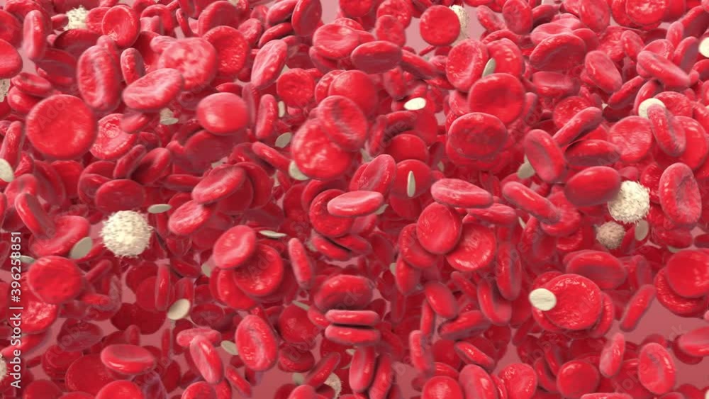 Red Blood Cells in the Blood Stream. Blood cells animation inside ...