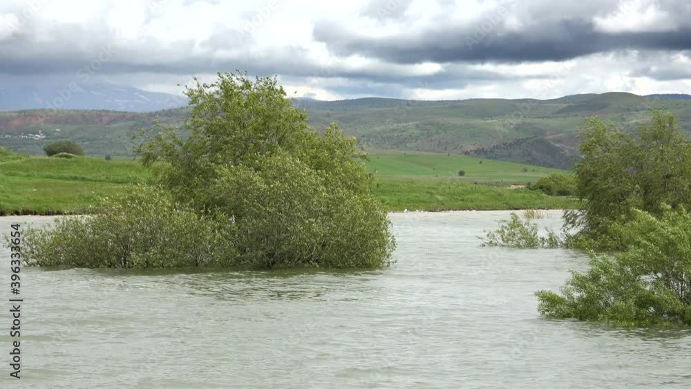 Trees in flood with rising water level. A flood is an overflow of water ...