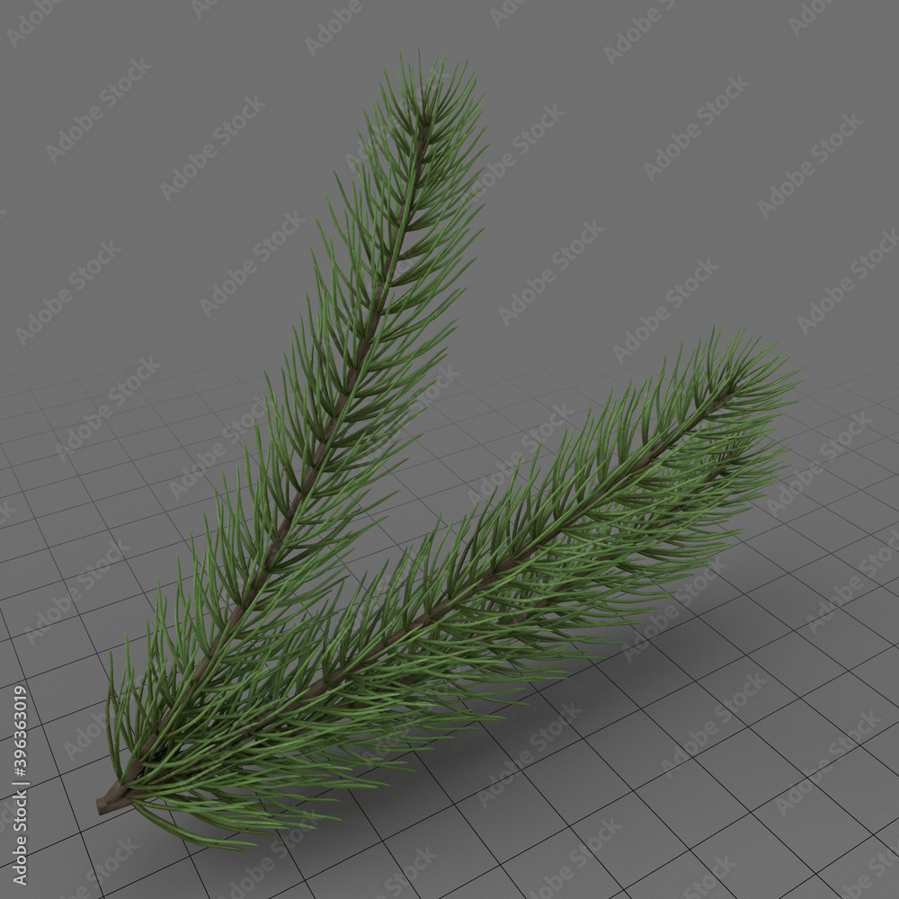 Fir tree branch 3 Stock 3D asset | Adobe Stock