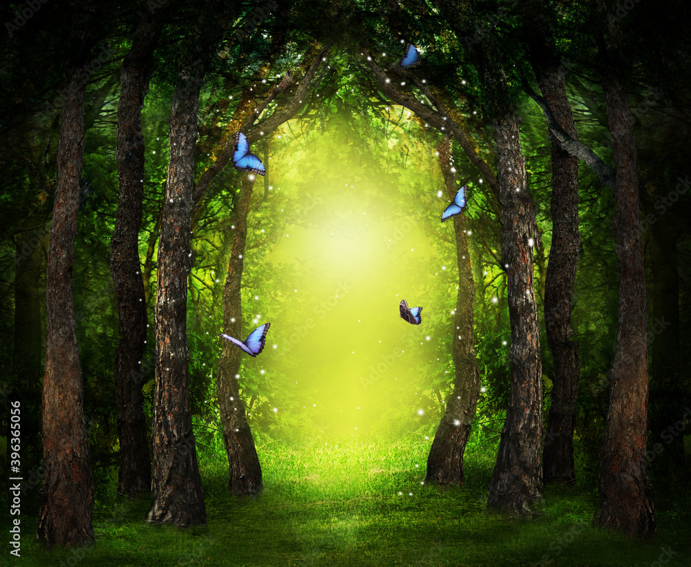 Fantasy world. Enchanted forest with magic lights, beautiful ...