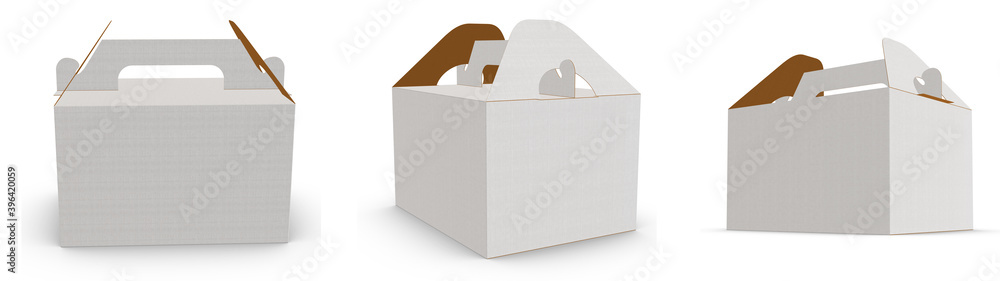3D rendering - High resolution image white custom carrier box template ...