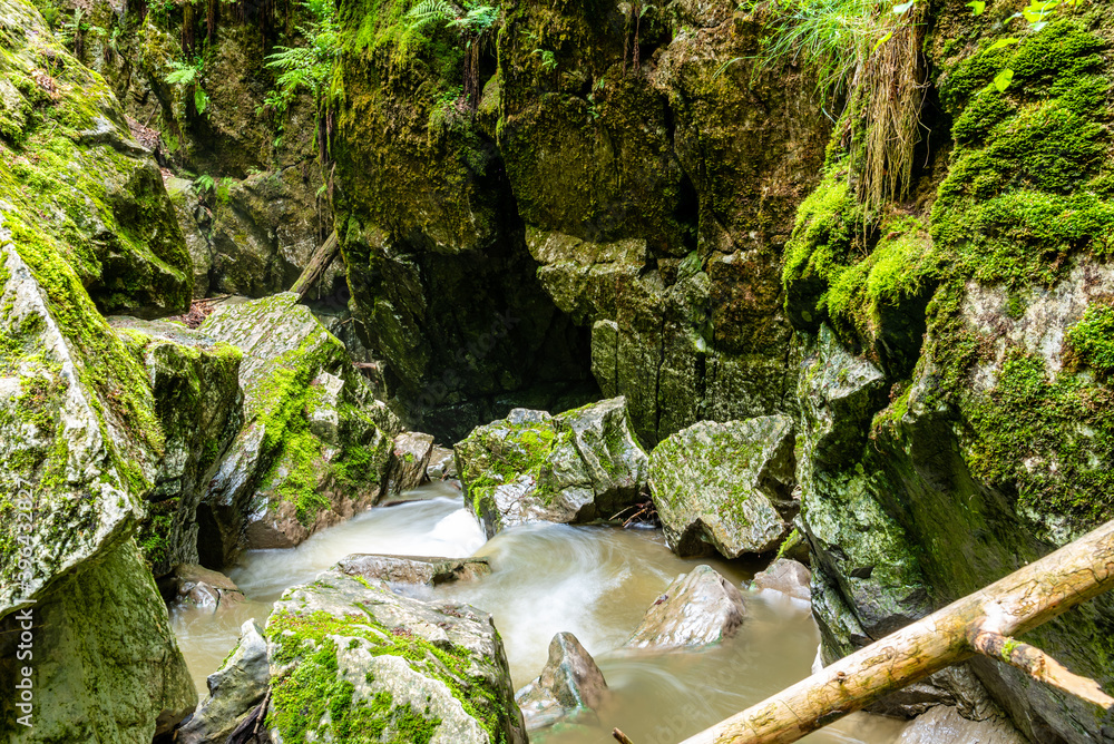 Poster Forest karst sinkhole – Wall Art | UkPosters