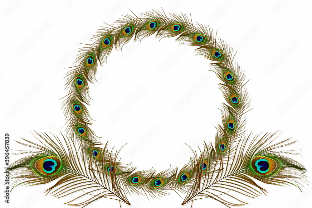 Peacock Feather Border Clip Art