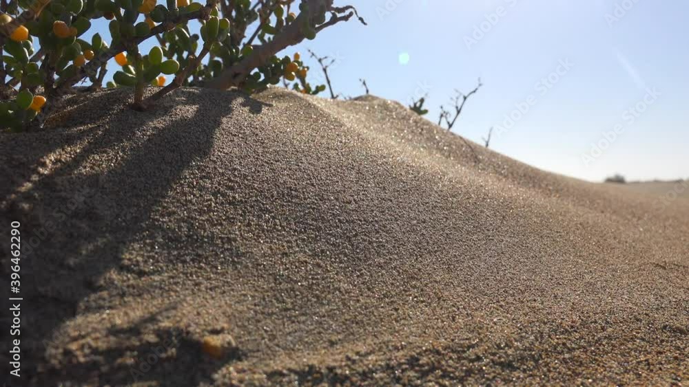 Sandstrom Wind Erosion Moves Sand Grains.Wind erosion moves sand grains ...