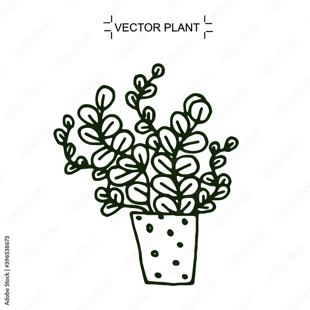 Home indoor plant in the pot. Pen drawing. Hand crafted Simple ...