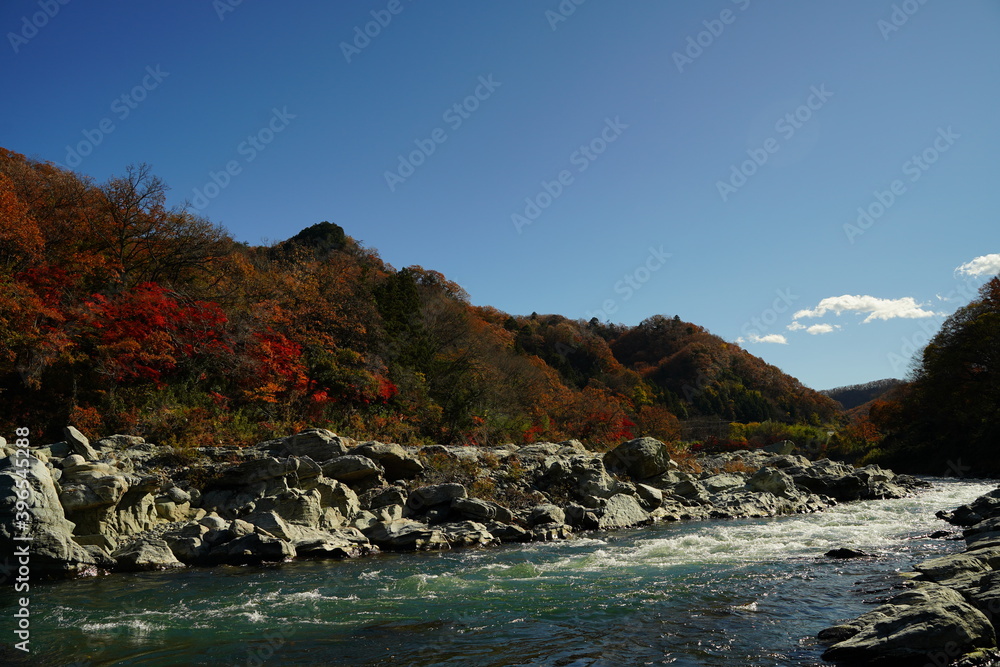 Nagatoro Cobblestone, ishidatami, and red autumn leaves are at Chichibu ...