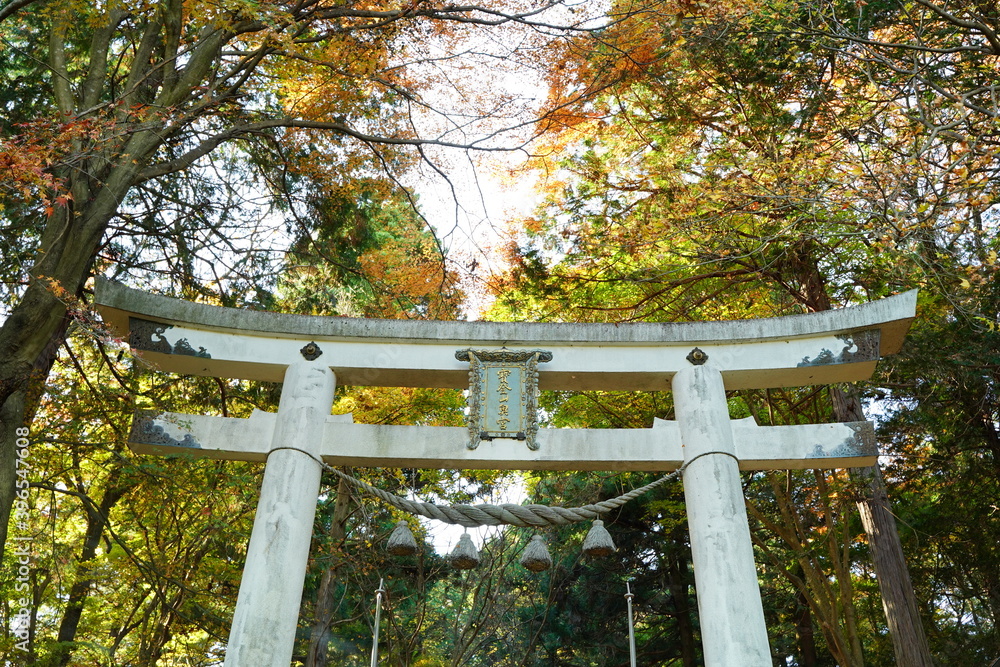 Hotosan jinja shrine white torii gate with red leaves at nagatoro ...
