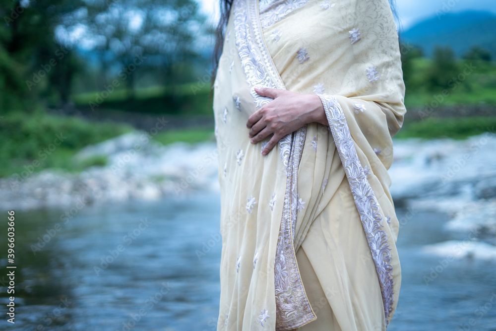 Stockfoto Beautiful Indian young female model wearing traditional saree ...