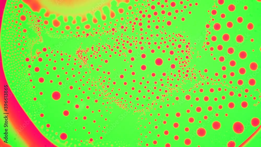 Marangoni effect, crazy phenomenon. Abstract background. 4K video of ...