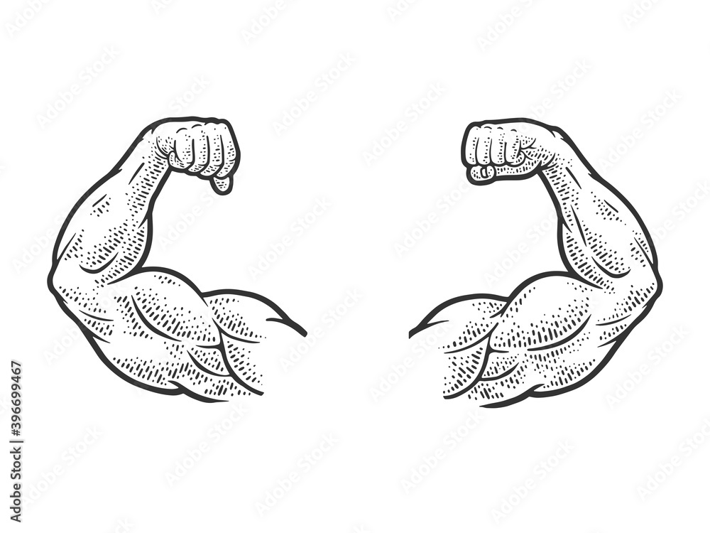 Muscular hands arms of strong man bodybuilder sketch engraving vector ...