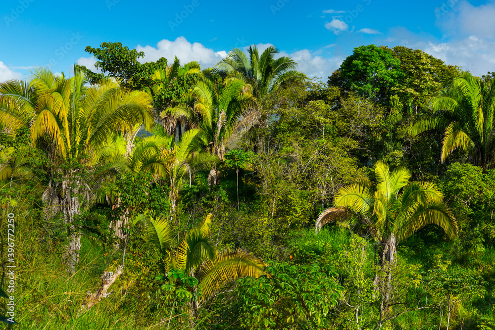 Boruca (also known as the Brunca or the Brunka) indigenous people ...