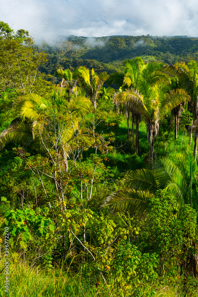 Boruca (also known as the Brunca or the Brunka) indigenous people ...