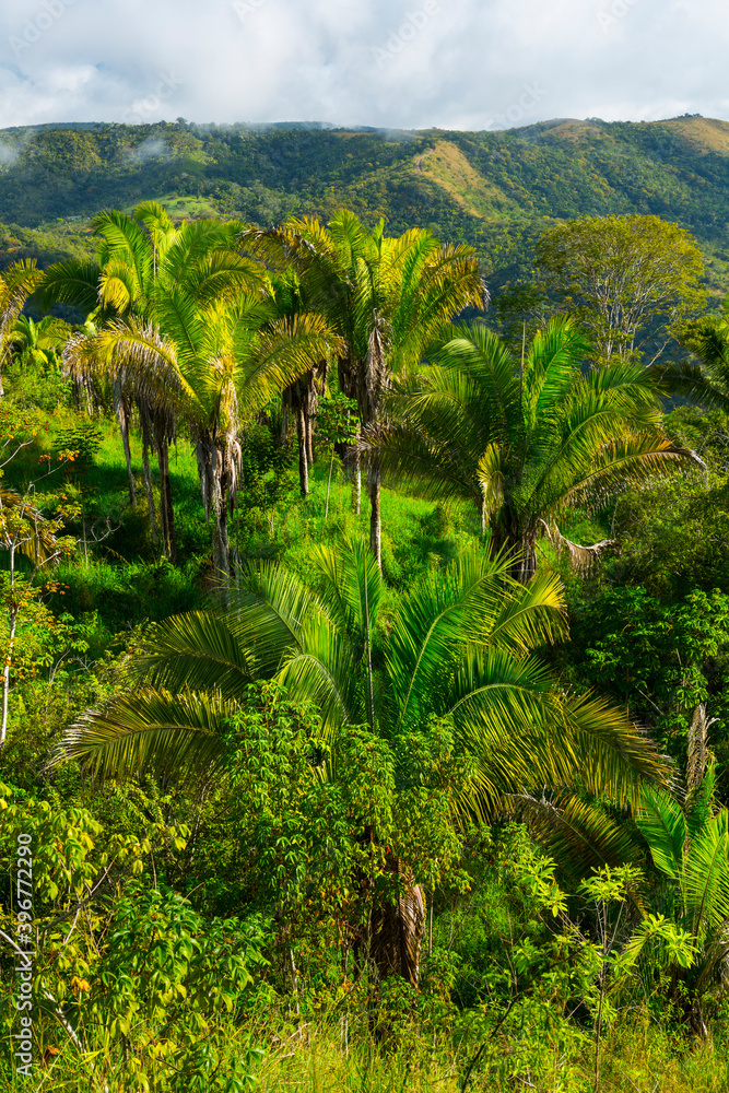 Boruca (also known as the Brunca or the Brunka) indigenous people ...