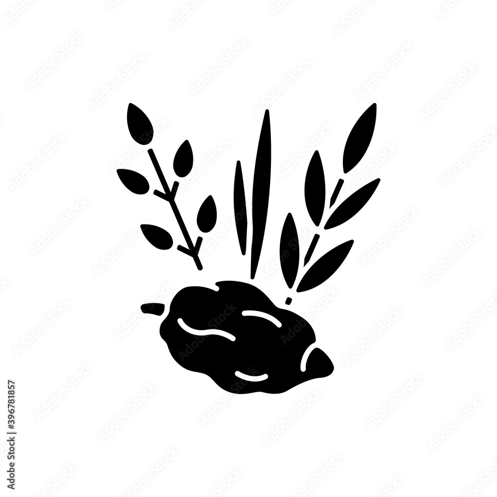 Four species black glyph icon. Jewish holiday. Etrog, lulav, hadas ...