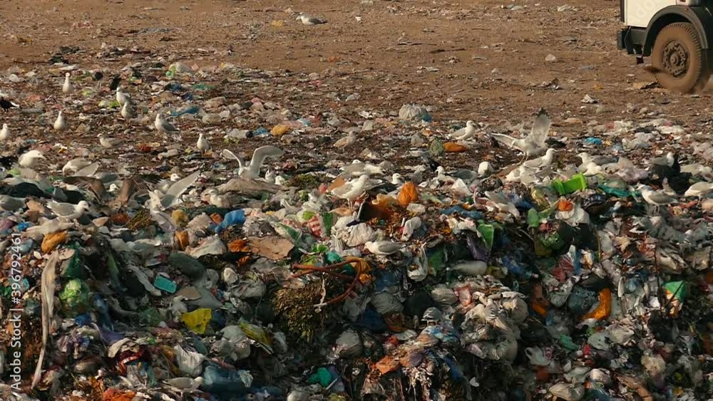 The wheels of a garbage truck are driving through the city dump. Damage ...