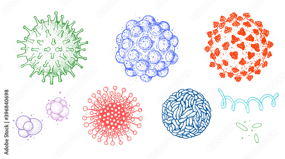 Different kinds of virus, sketch collection. Hand drawn illustration ...