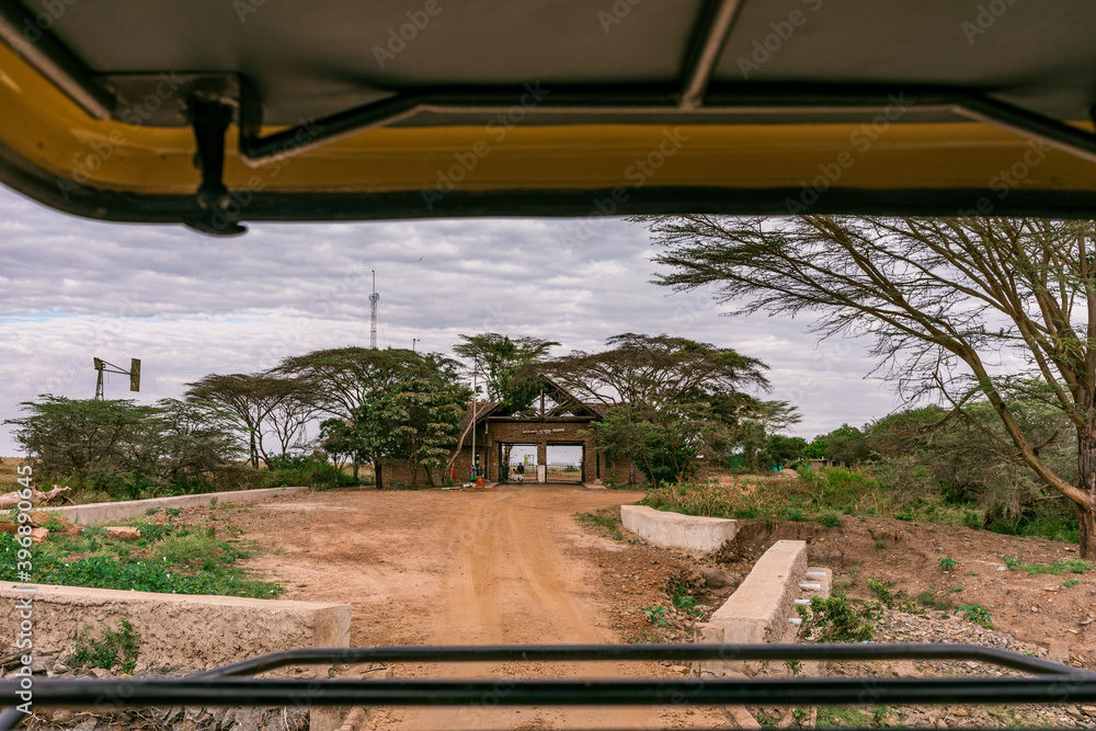 Talek River Mara Wildlife Animals Grazing Savanna Grassland Wilderness ...