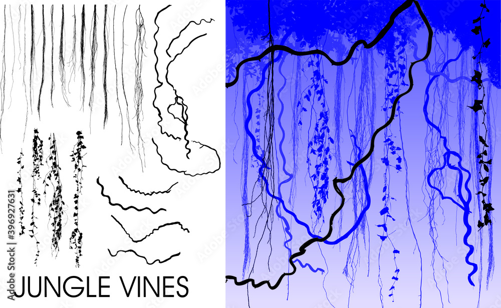 A selection of detailed jungle vines taken from real photographs from ...