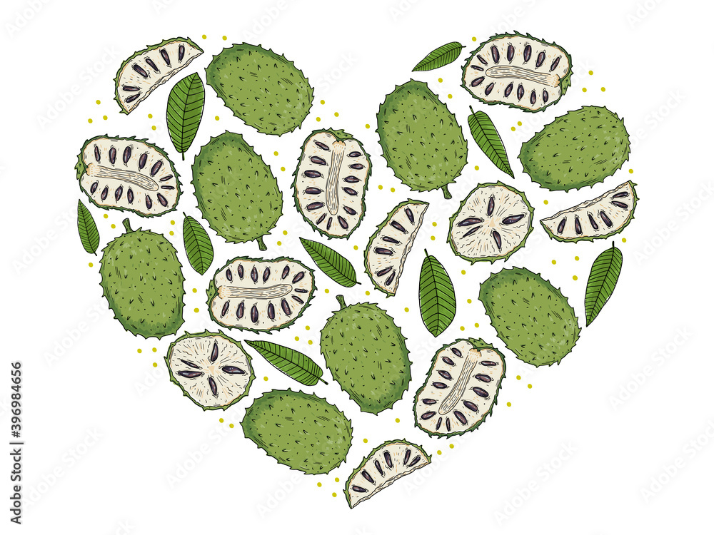 A set of illustrations of soursop fruits in different types and leaves ...