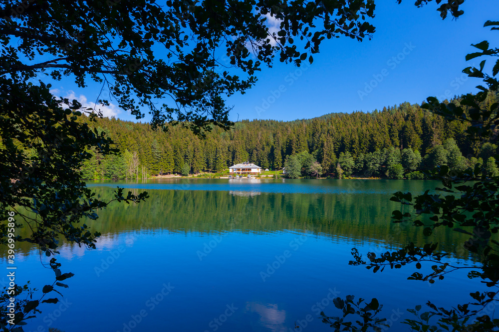 Artvin savsat karagol also known as Black lake with green forest and ...
