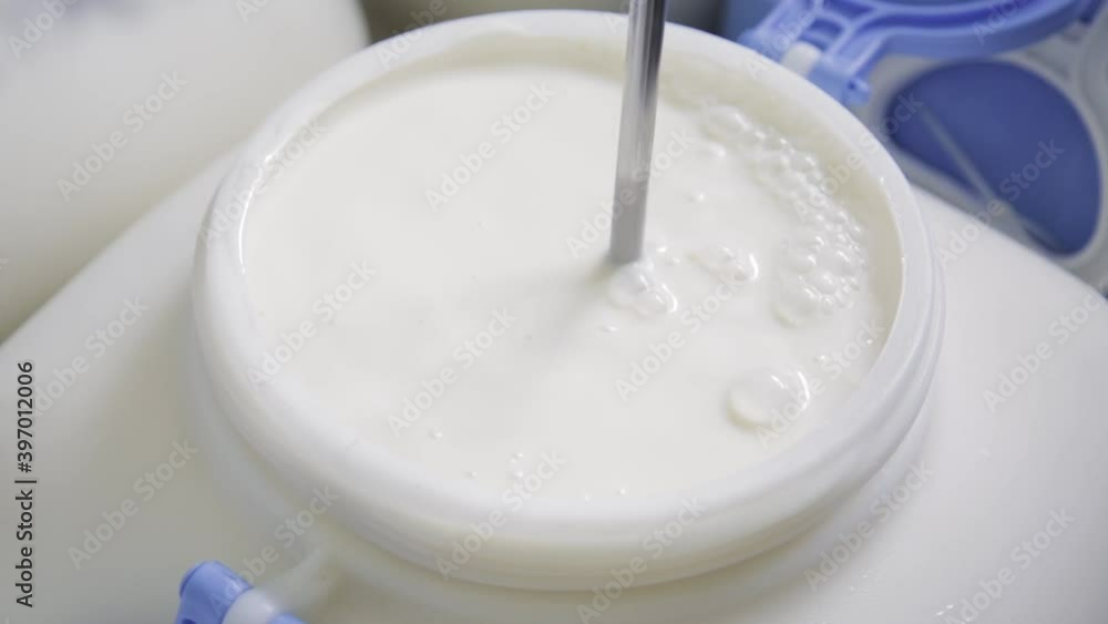 Cheese making process. Stages of cheese production at the factory Stock ...
