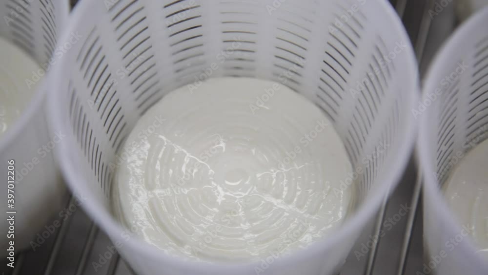 Cheese making process. Stages of cheese production at the factory Stock ...