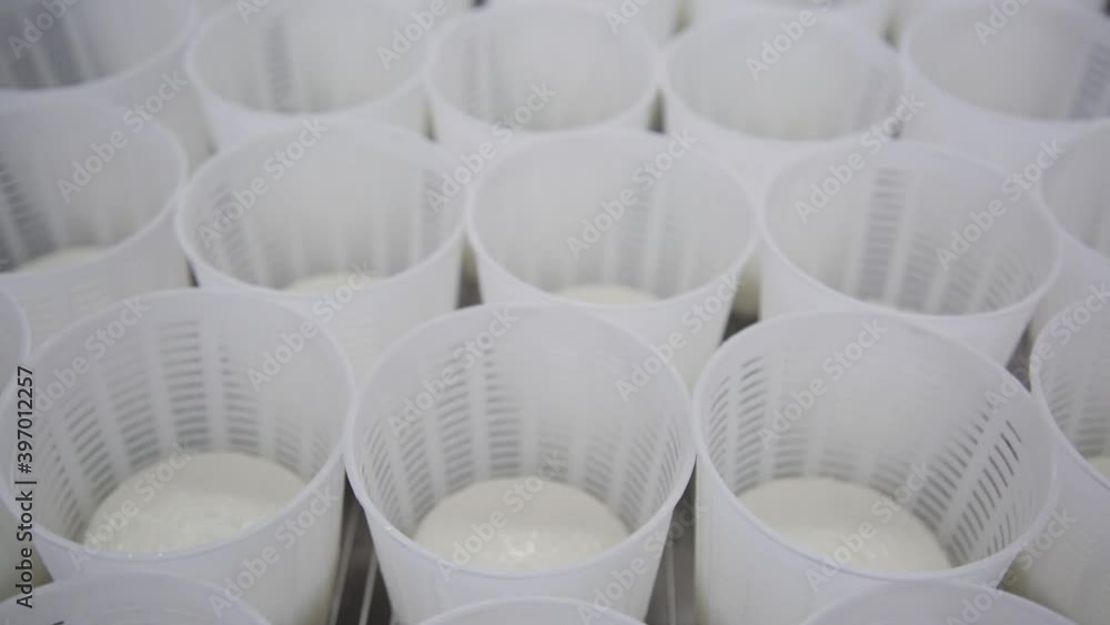Cheese making process. Stages of cheese production at the factory Stock ...
