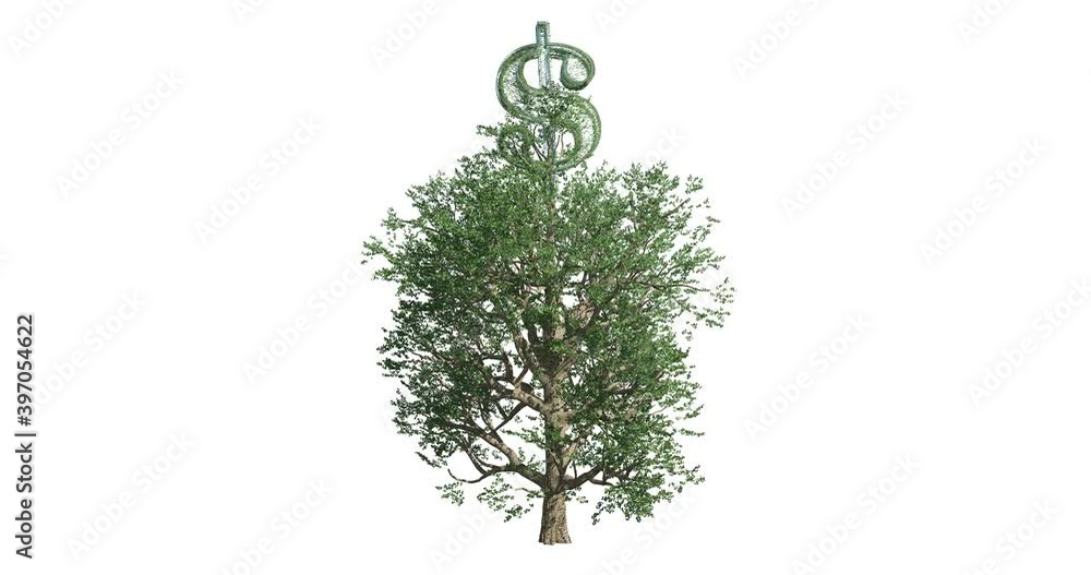 Tree growth animation with an American dollar sign on top . Stock Video ...