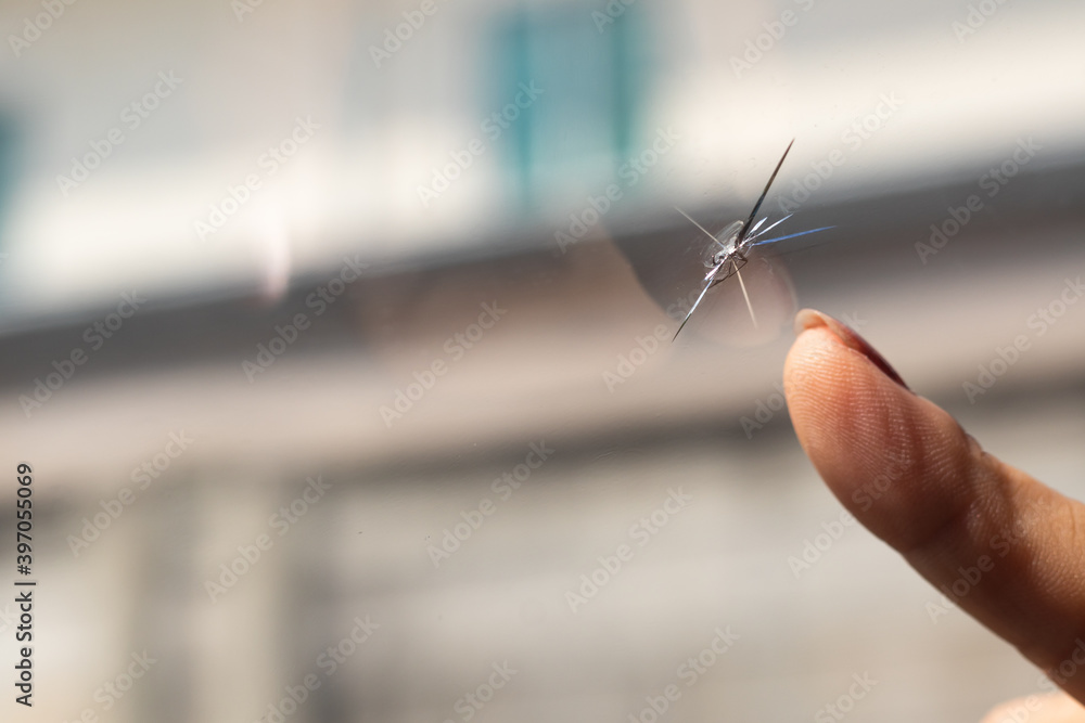 Broken windshield of a car. A web of radial splits, cracks on the ...