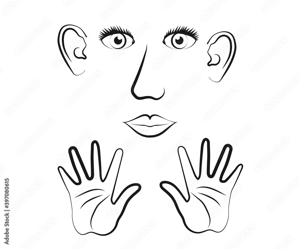 Human sense organs on a white background. Sketch. Vector illustration ...