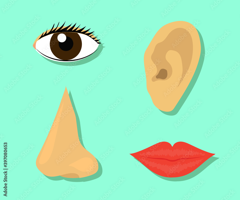 Human sense organs in the background. Symbol. Vector. Stock Vector ...