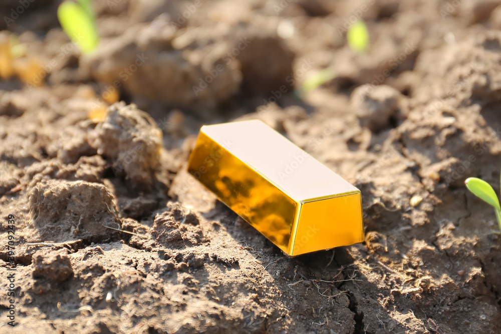 Gold bars as a symbol of chernozem value Stock Photo | Adobe Stock