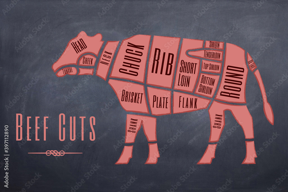 Understanding the different parts and cuts of beef Stock Illustration ...