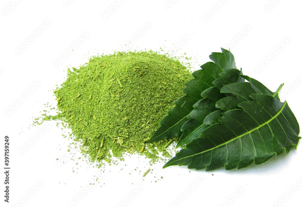 Neem leaves with powder Stock Photo | Adobe Stock