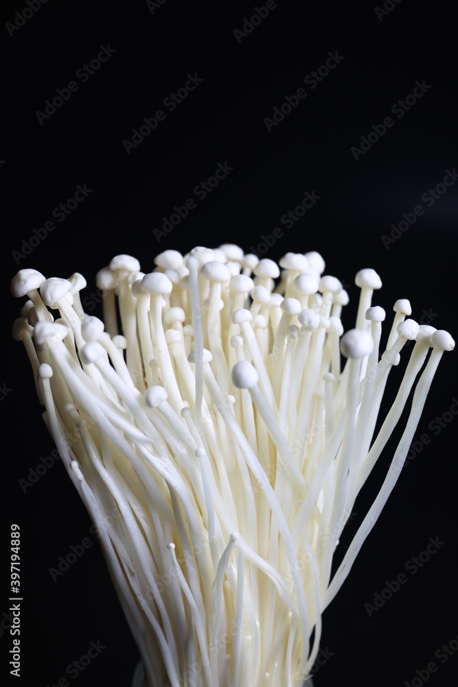 Jamur enoki. Enoki is a mushroom that is well-known for its role in ...