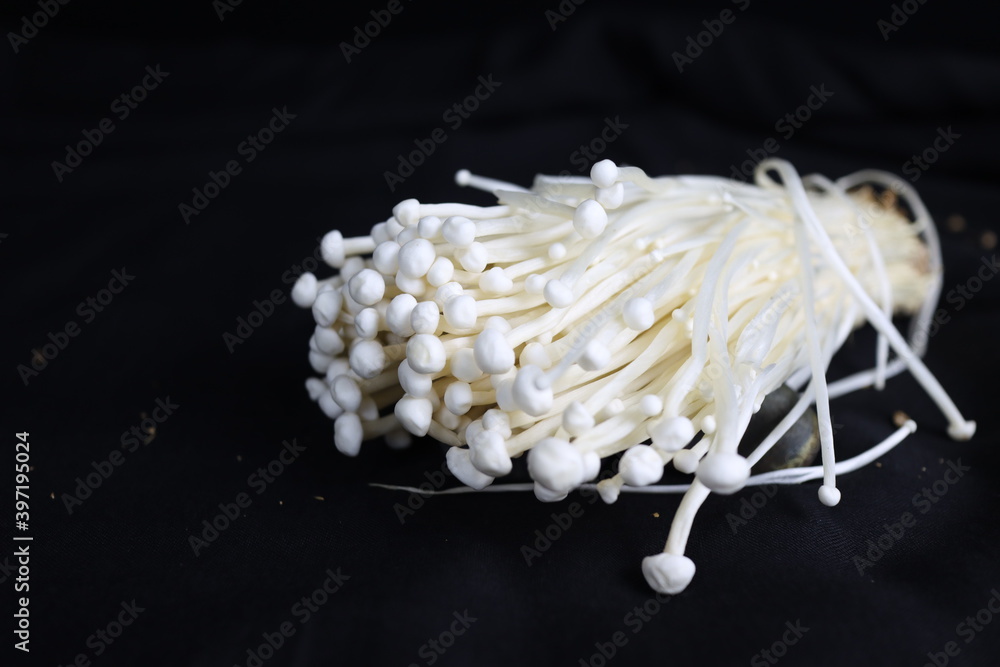Jamur enoki. Enoki is a mushroom that is well-known for its role in ...