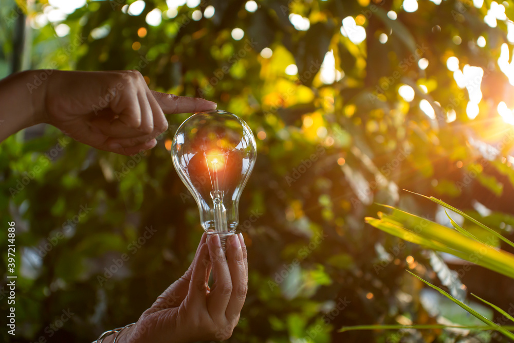 Light bulbs that grow, in the concept of energy in nature. Stock Photo ...
