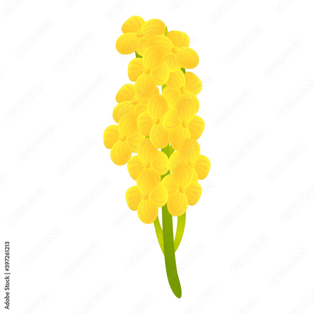 Canola bio plant icon. Cartoon of canola bio plant vector icon for web ...