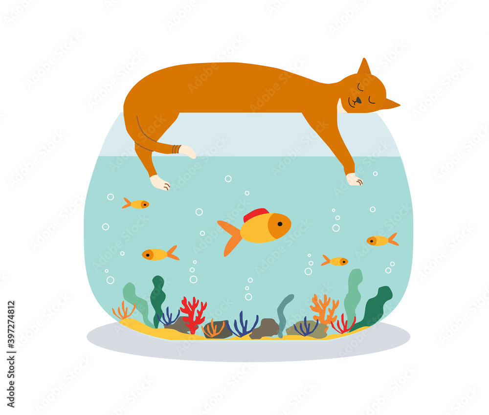 Cute cat stretches and sleeps on aquarium with swimming gold exotic ...